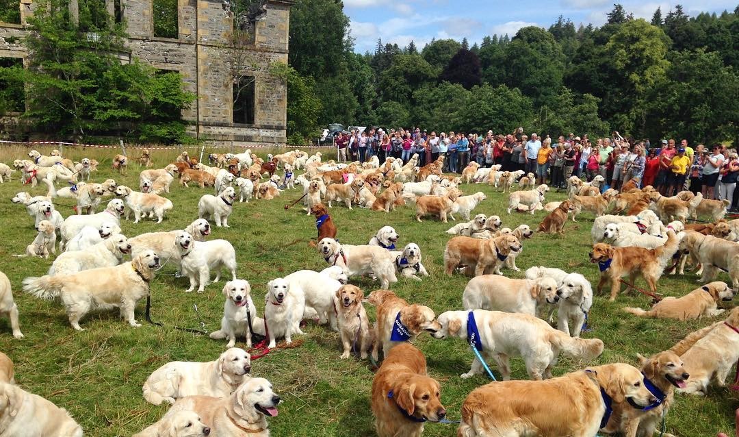 4 Festivals Around the World That Celebrate Animals