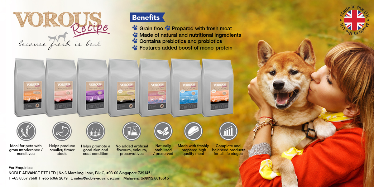 Sunburn in Dogs: Symptoms, Treatment and Prevention