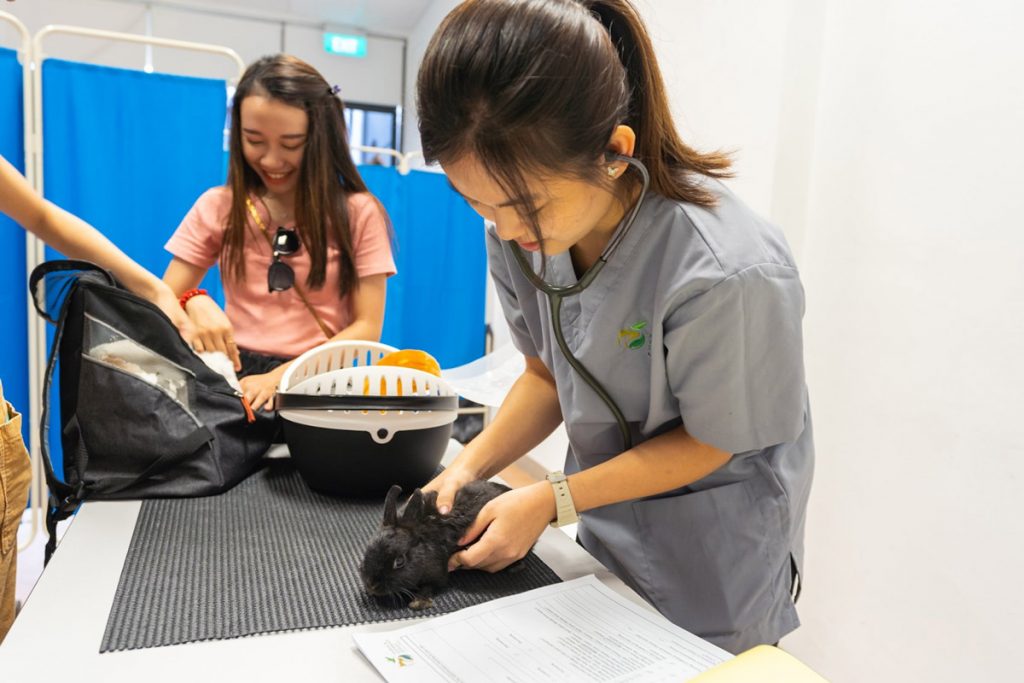 5 Reasons Why You Should Join the Fun at NParks’ Parks Festival & Pets ...