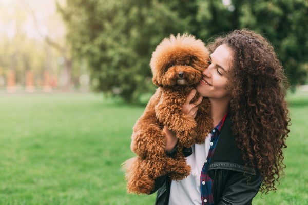 5 HDB-Approved Dog Breeds That Provide Great Emotional Support