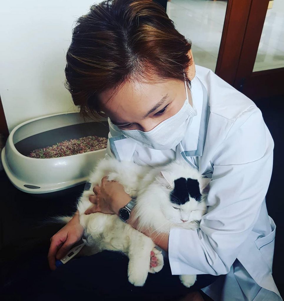 4 Reasons Why You Need to Know Happy Vet, the “Vet-on-Wheels” Mobile ...