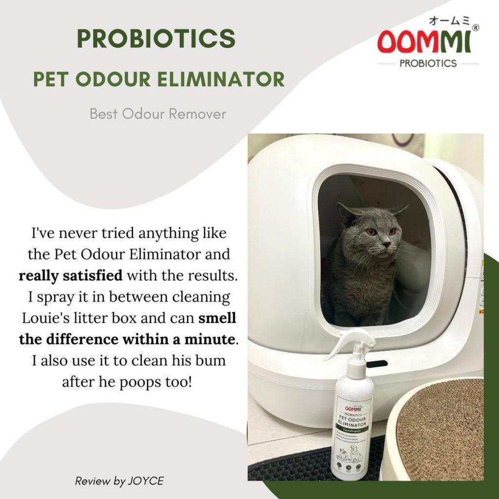 The Wonders of Probiotics & How It Creates A Healthy and Safe Environment