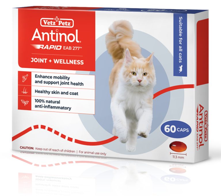 Antinol® Rapid: Your Pet’s Newly Improved Go-To Supplement