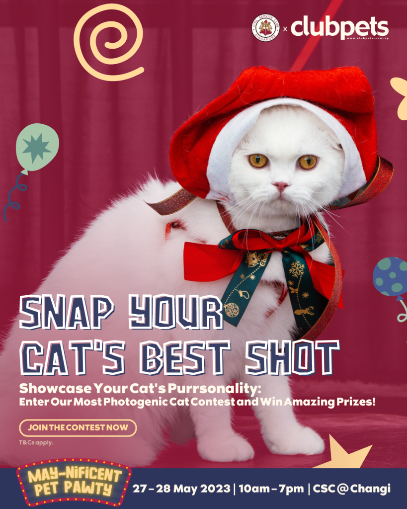 May Nificent Pet Pawty - All About Pets In Singapore | Explore ...