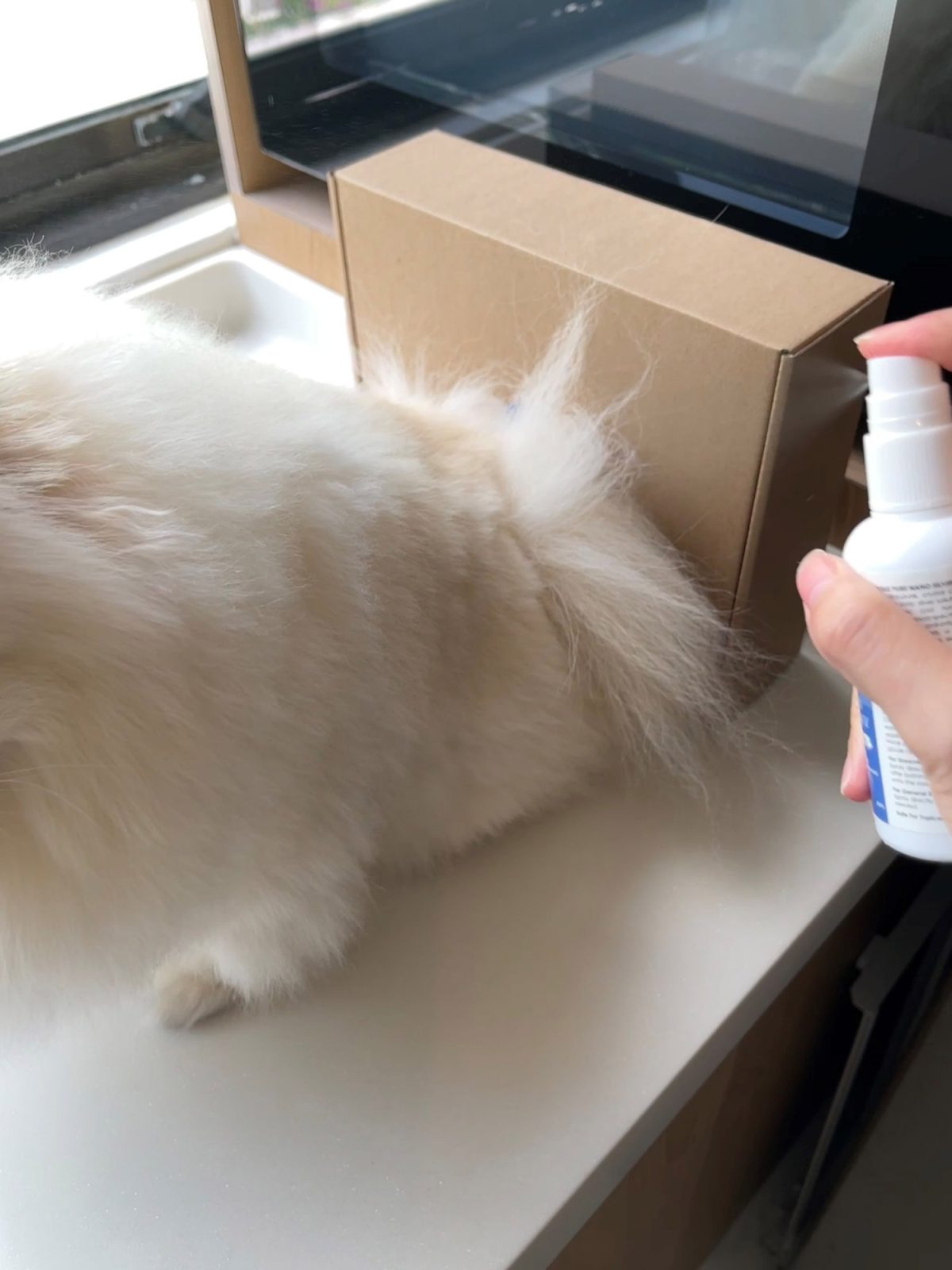 Discover Vorous: Premium Pet Care for Every Need